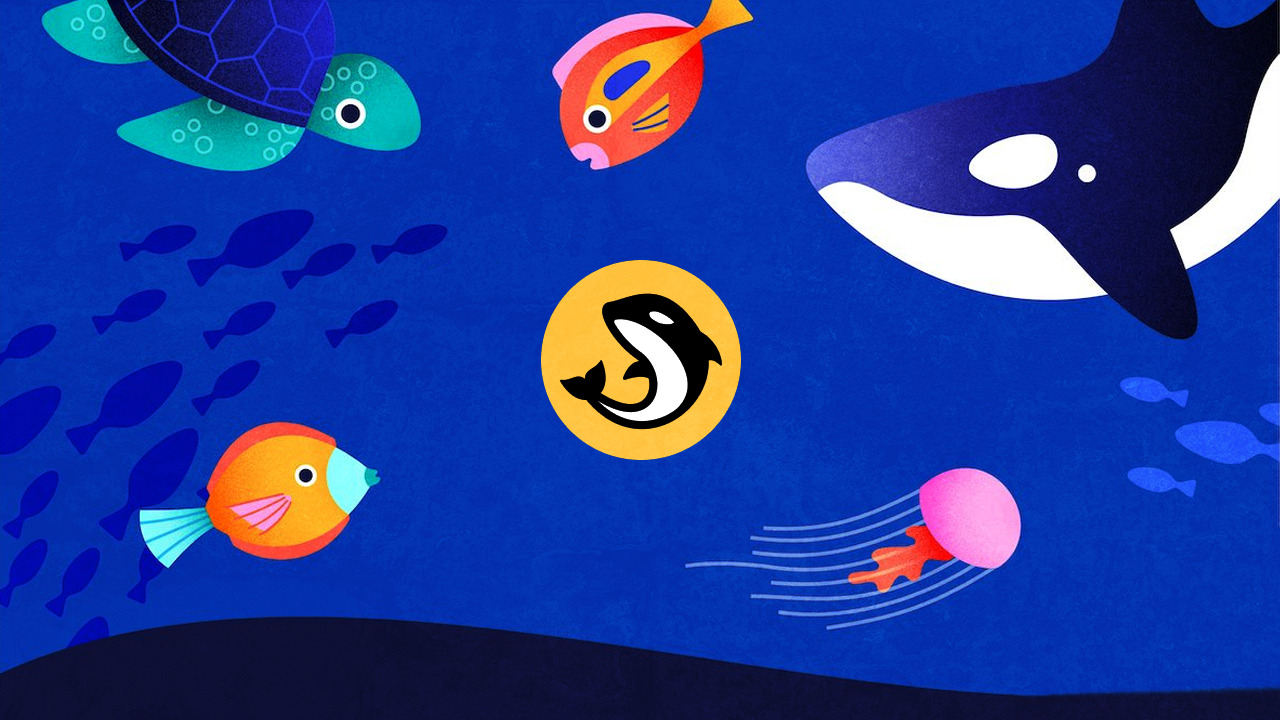 ما هو مشروع عملة ORCA Token الرقمية؟ | بي كوين